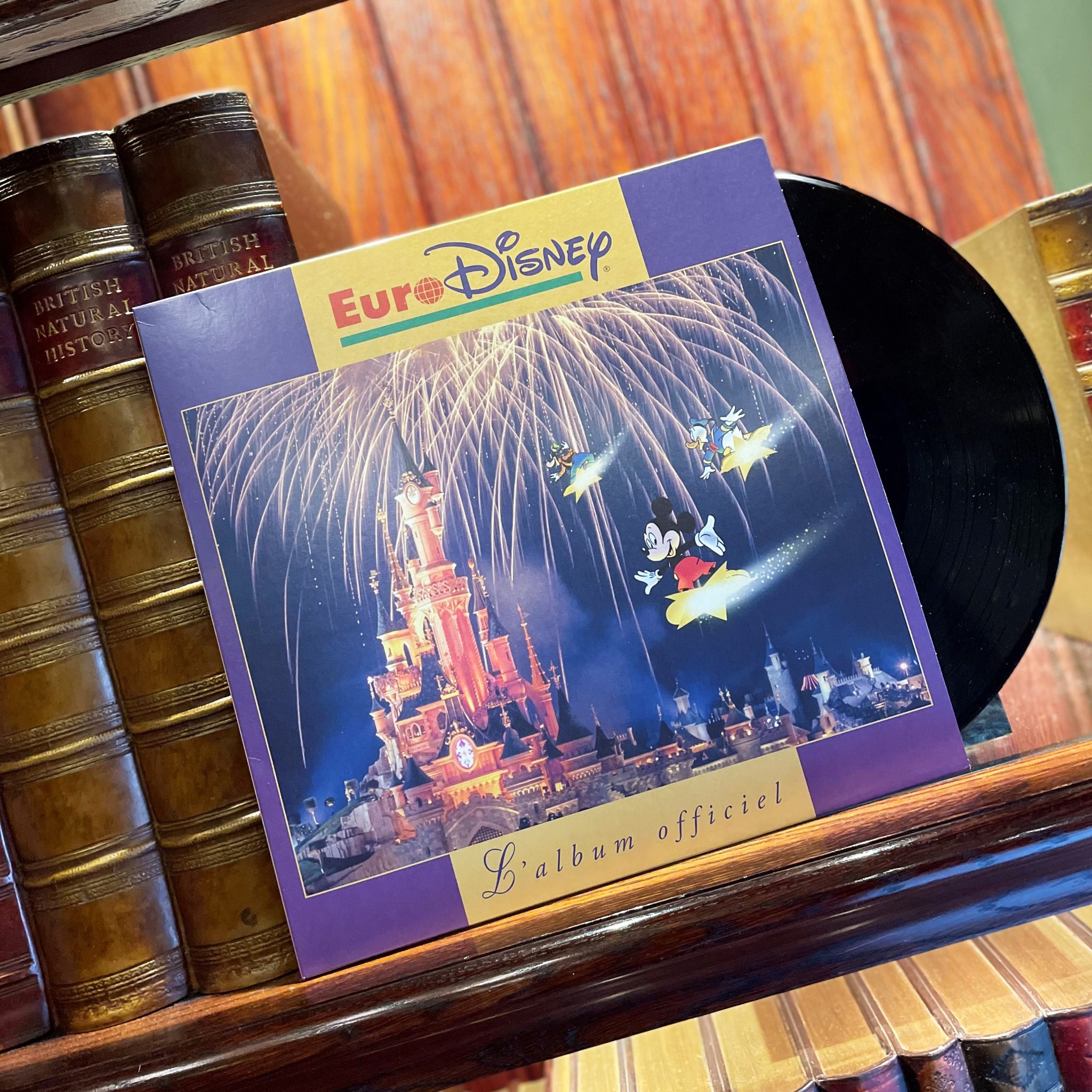 [Interview with Regis Alart] Available today: Euro Disney L’Album ...